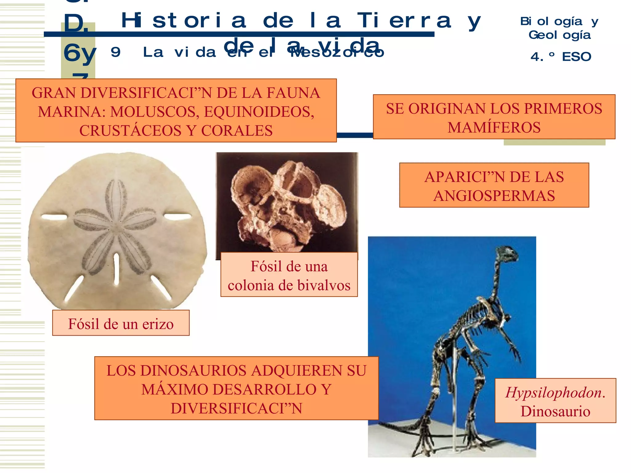 Historia De La Tierra Y De La Vida | PPT