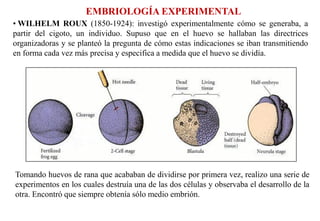 Historia%20 de%20la%20embriologia | PDF