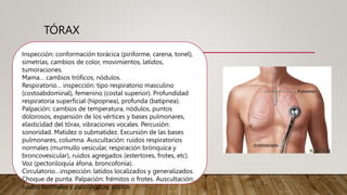 Historia clínica.pptx