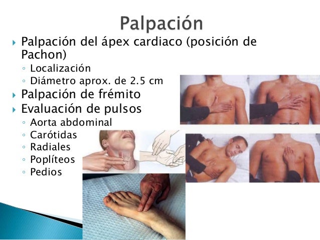 Historia clínica y exploración física en Cardiologia