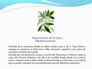 Historia de la cocina del caribe colombiano | PPT