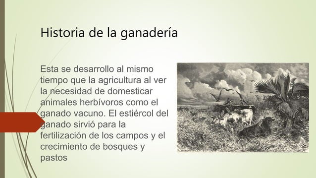 Historia de la ganadería | PPT