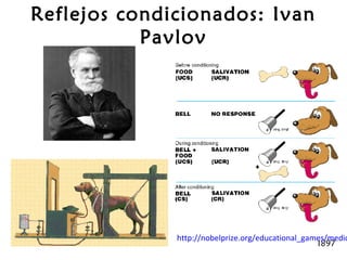 Historia de la psicobiología | PPT