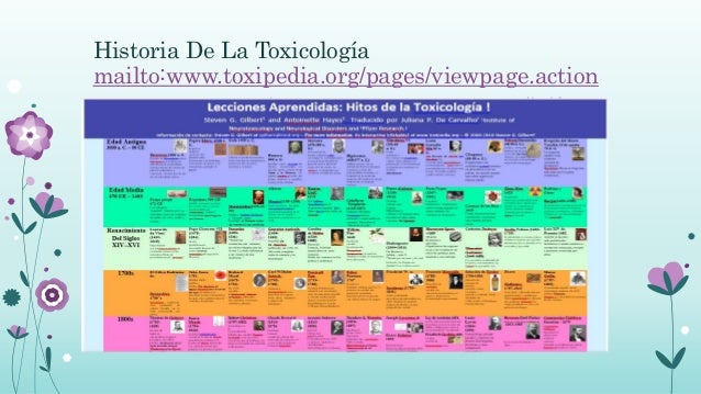 La Historia De La Auditoria Timeline Timetoast Timelines