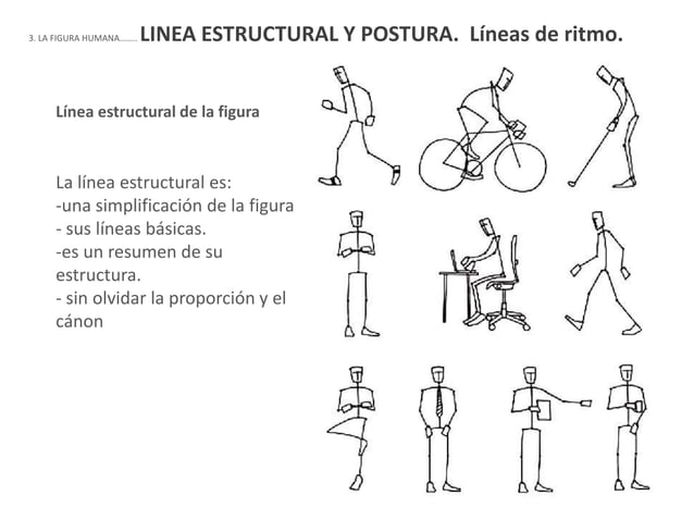 Historia del canon figura humana | PPTX