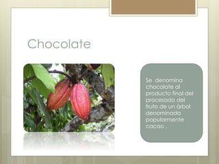 Historia del chocolate | PPTX