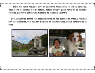 Historia del perro nevado | PDF
