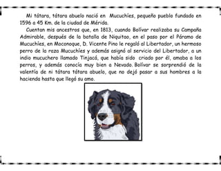 Historia del perro nevado | PDF