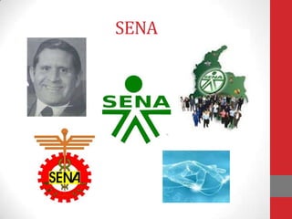 Historia del sena | PPTX