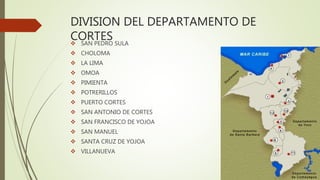 DEPARTAMENTO DE CORTES | PPTX
