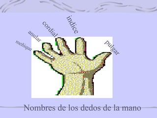 Historia mecanografia | PPT