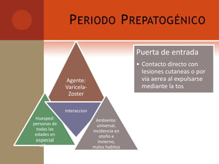 Historia natural de la enfermedad | PPTX