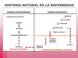 FISIOPATOLOGIA SABATINO: Historia Natural de la Enfermedad | PDF