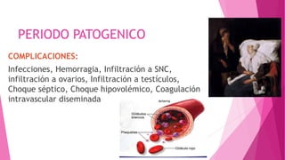 Historia natural de la enfermedad | PPTX