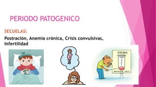 Historia natural de la enfermedad | PPTX