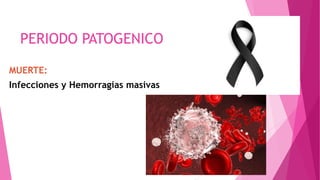 Historia natural de la enfermedad | PPTX
