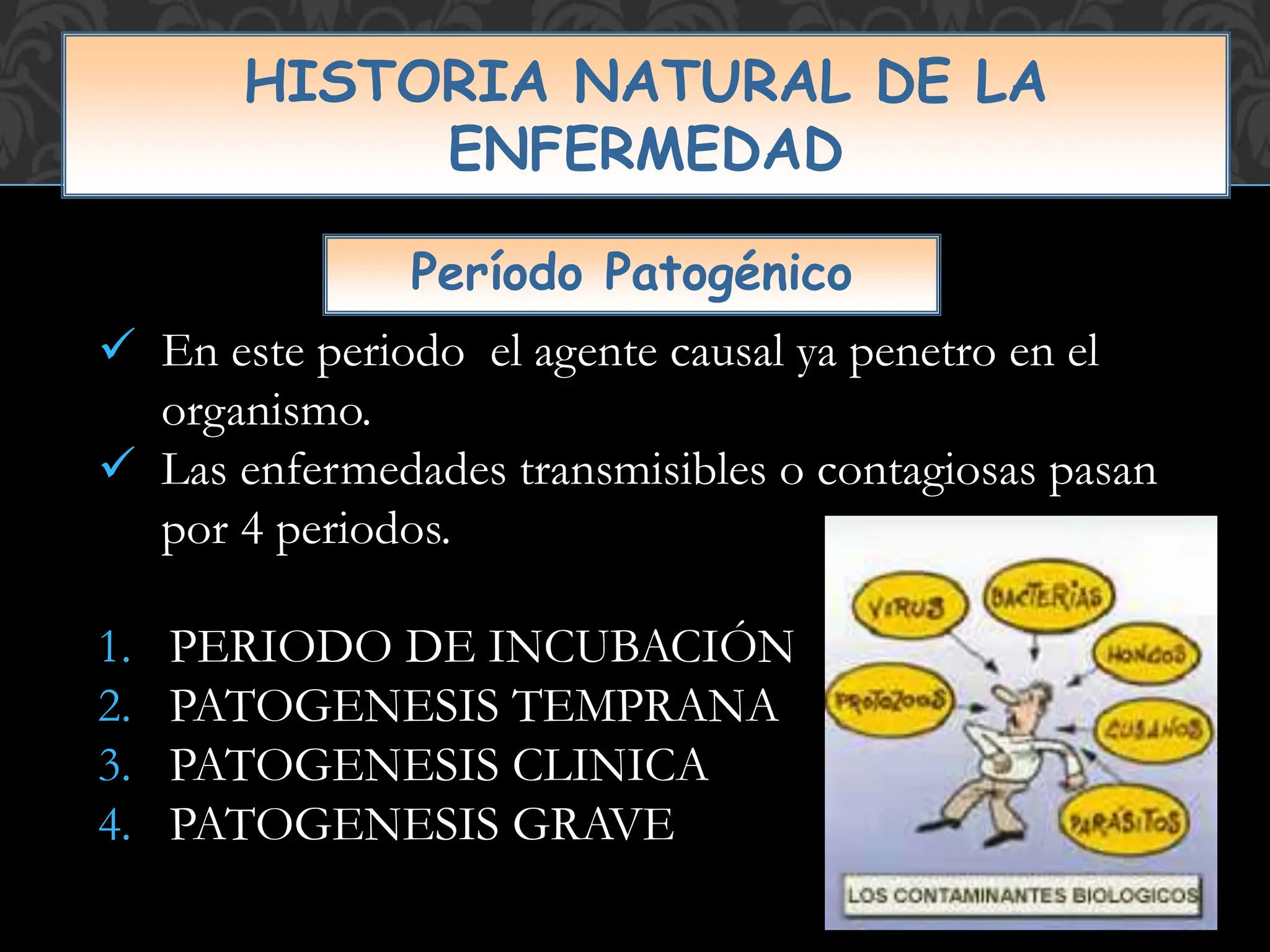 historianEWERWEaturaldelaenfermedad.pptx
