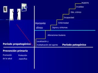 Historia Natural De La Enfermedad[1] | PPT