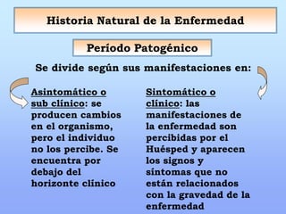 Teórico: Historia Natural de la Enfermedad y Niveles de Prevención | PDF