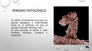 Historia_natural_de_la_enfermedad_Sinusitis.pptx