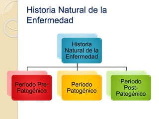 Historia natural de la enfermedad y niveles de prevencion | PPTX