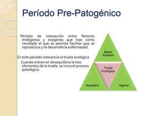 Historia natural de la enfermedad y niveles de prevencion | PPTX