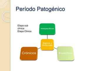 Historia natural de la enfermedad y niveles de prevencion | PPTX
