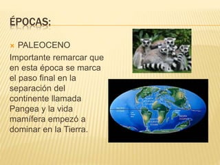 Historia de la tierra | PPTX
