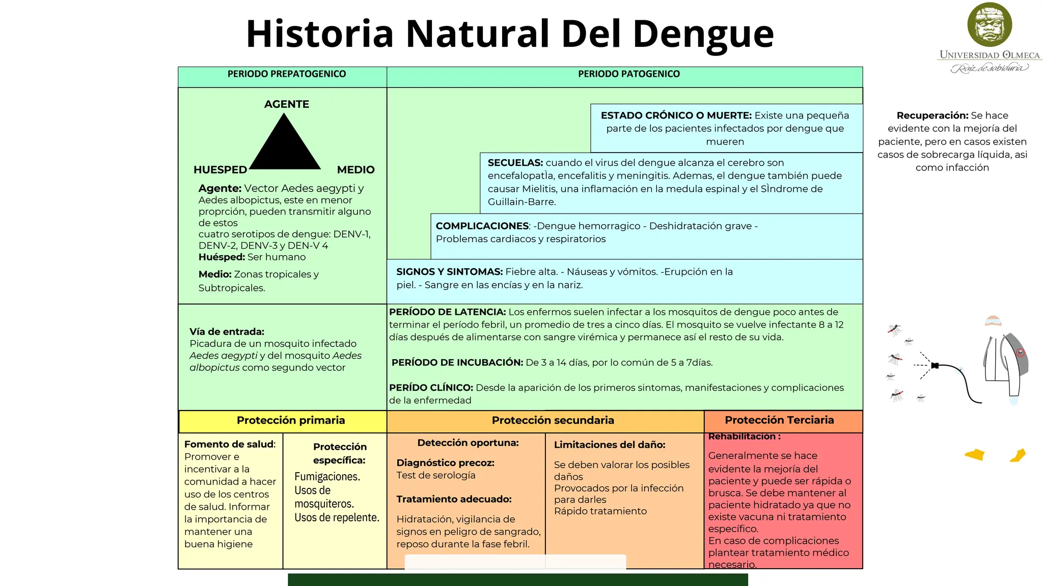 Historia Natural del Dengue.pdf