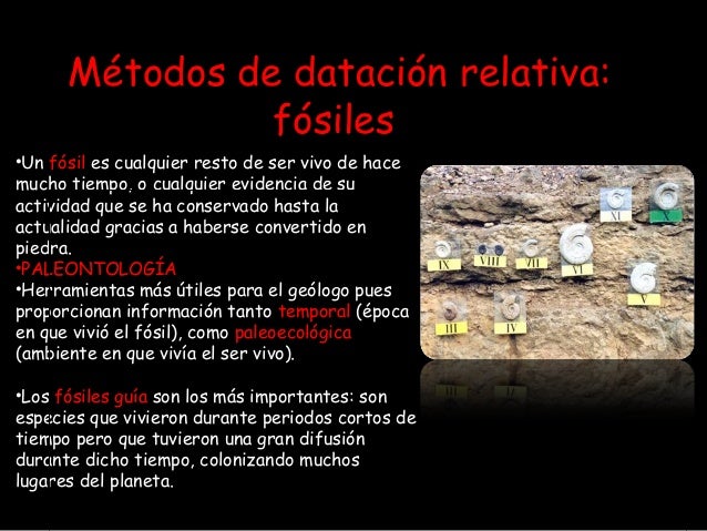 Metodos De Datacion De Fosiles En La Historia - Citas Adultos en México