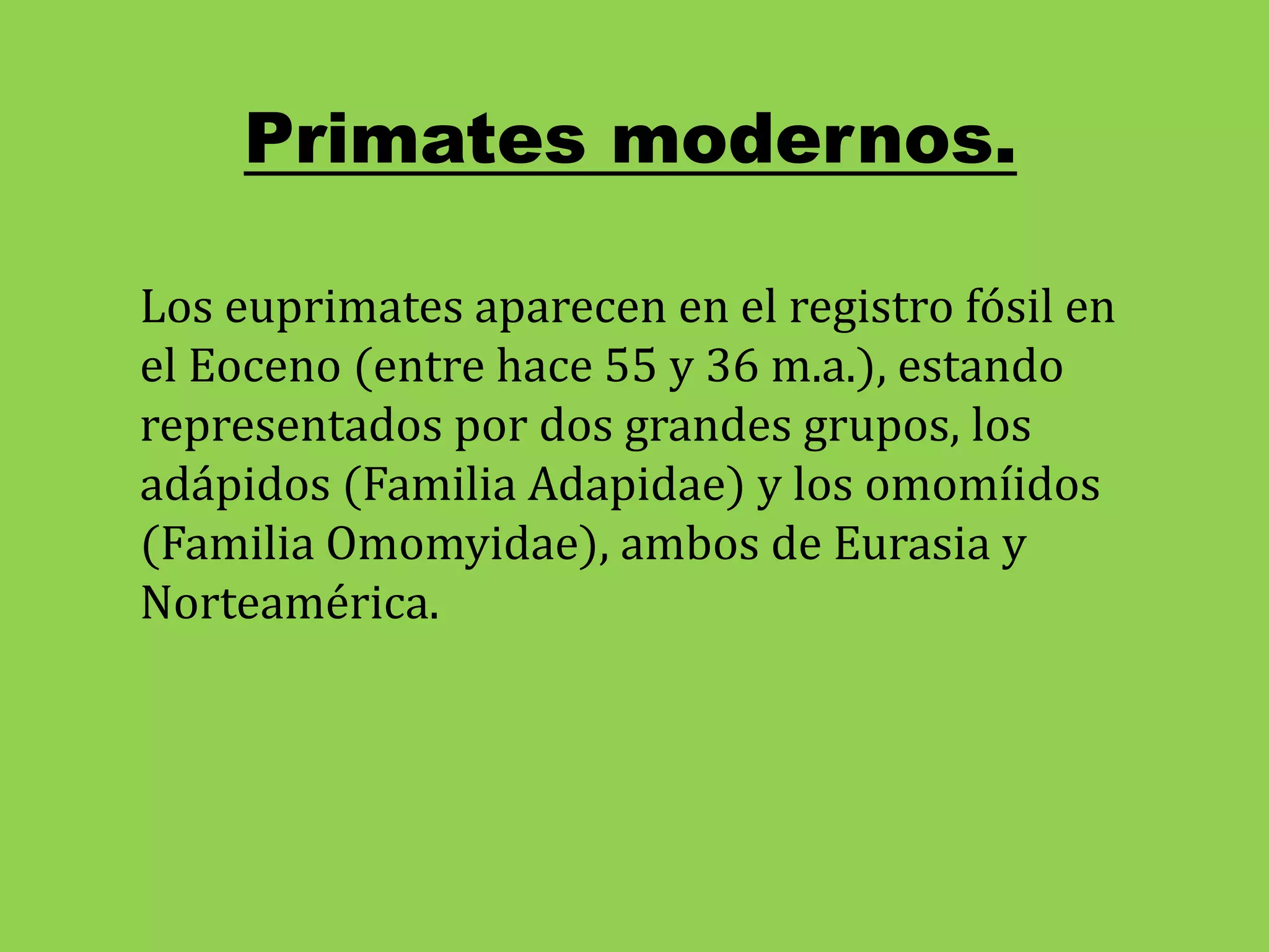 Historia y evolución de los primates | PPT
