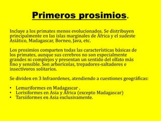 Historia y evolución de los primates | PPTX