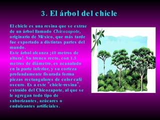 Historia Y Orgen Del Chicle | PPT