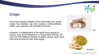 historical-changes-in-food-technology-ppt-1416wfcf.pptx