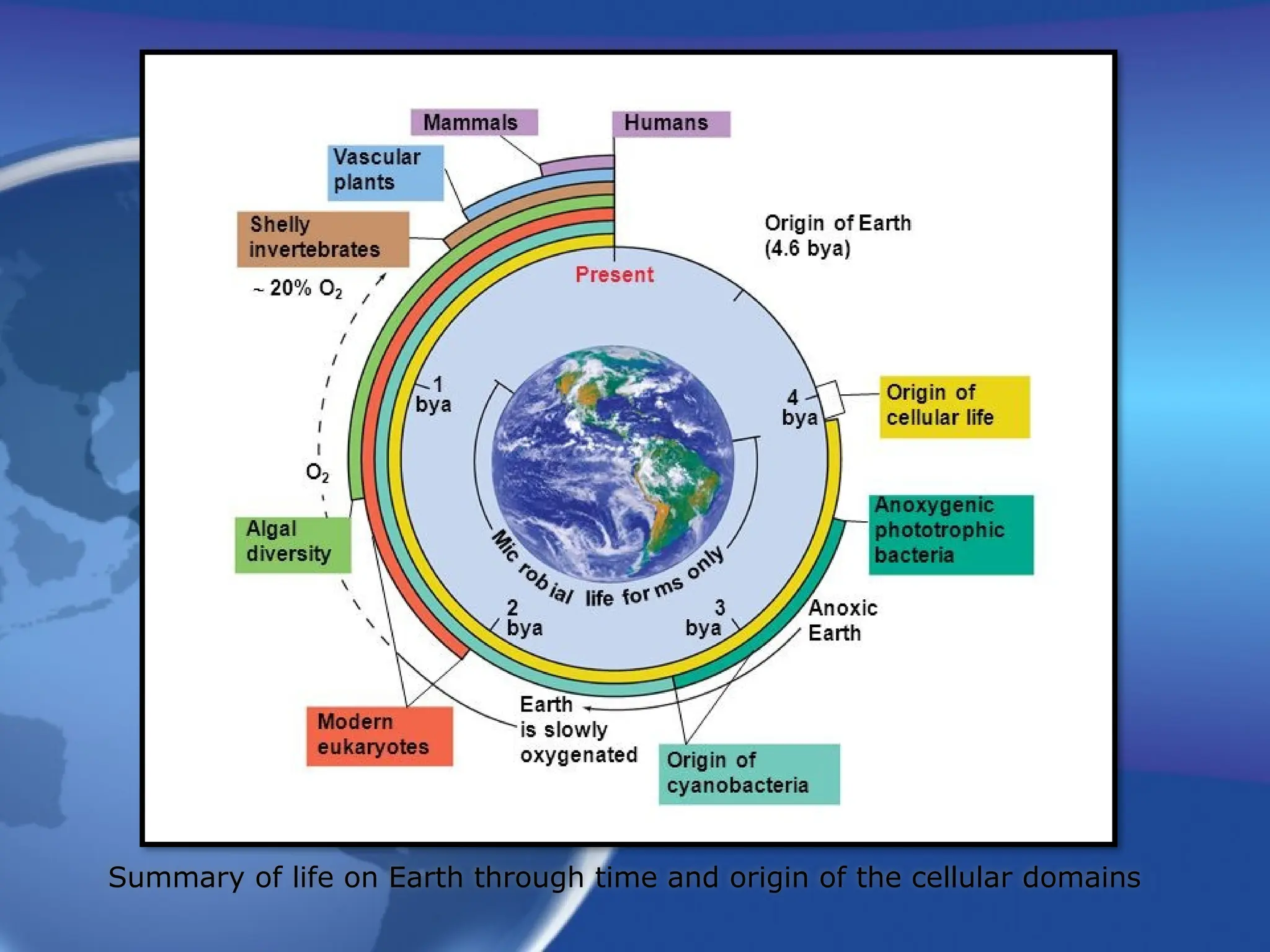 historical-development-on-the-concept-of-life.pptx