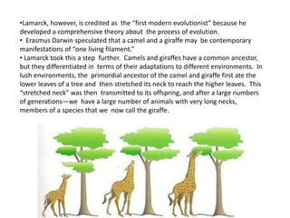 Historical background of inheritance | PPTX