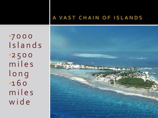 Historical Background To The Cay (New) | PPTX