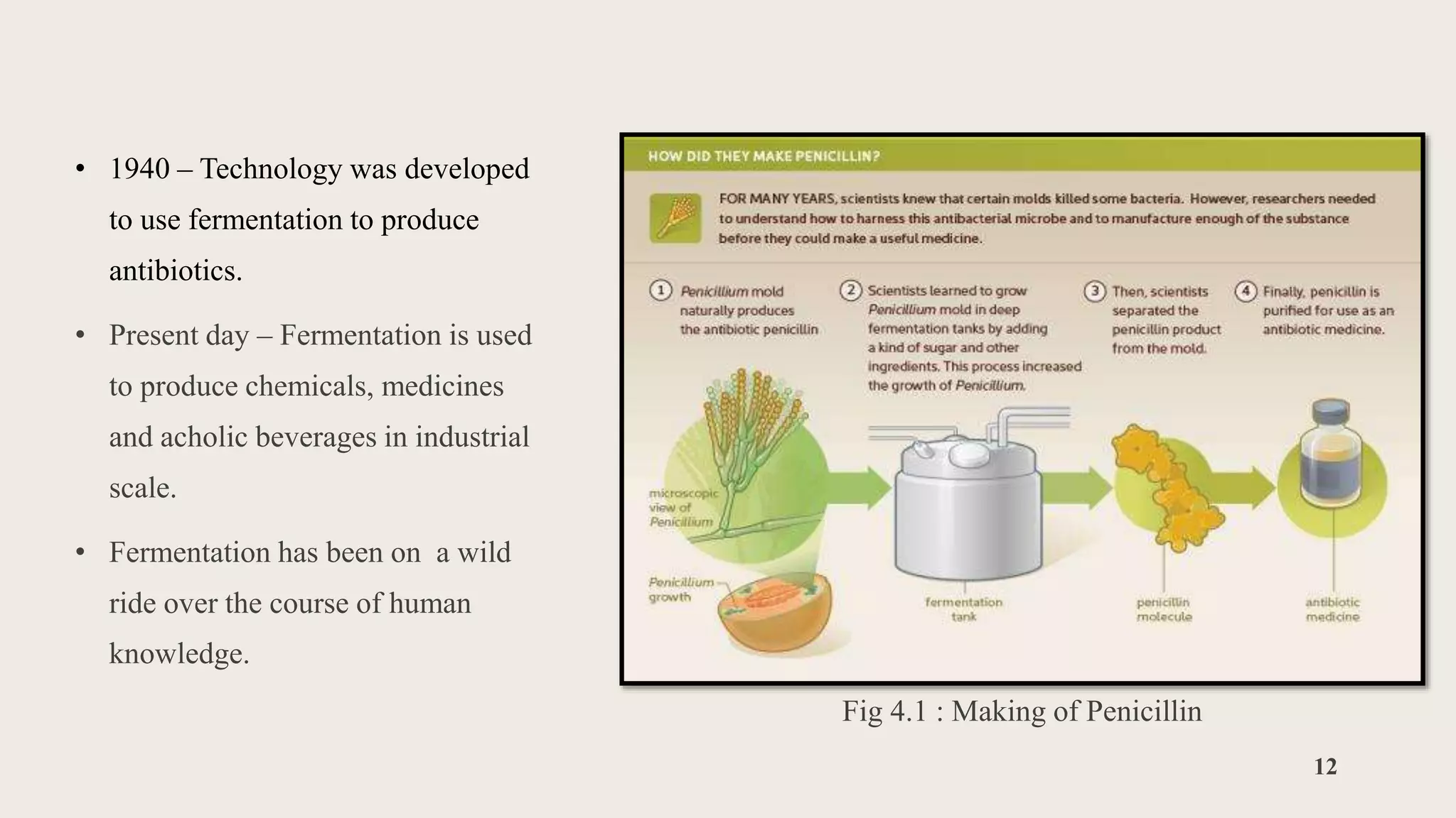Historical Development of Fermentation | PPTX