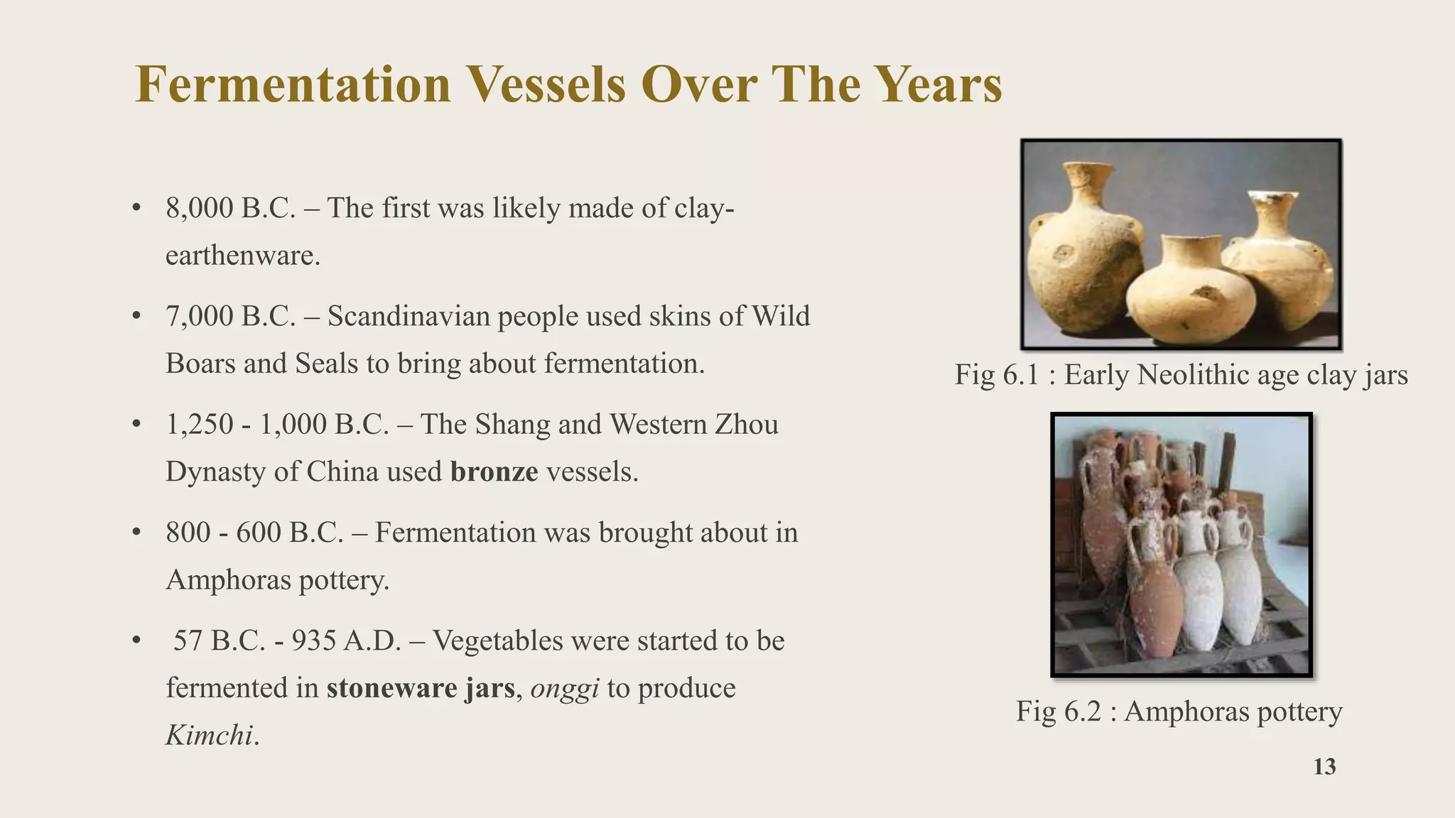 Historical Development of Fermentation | PPTX