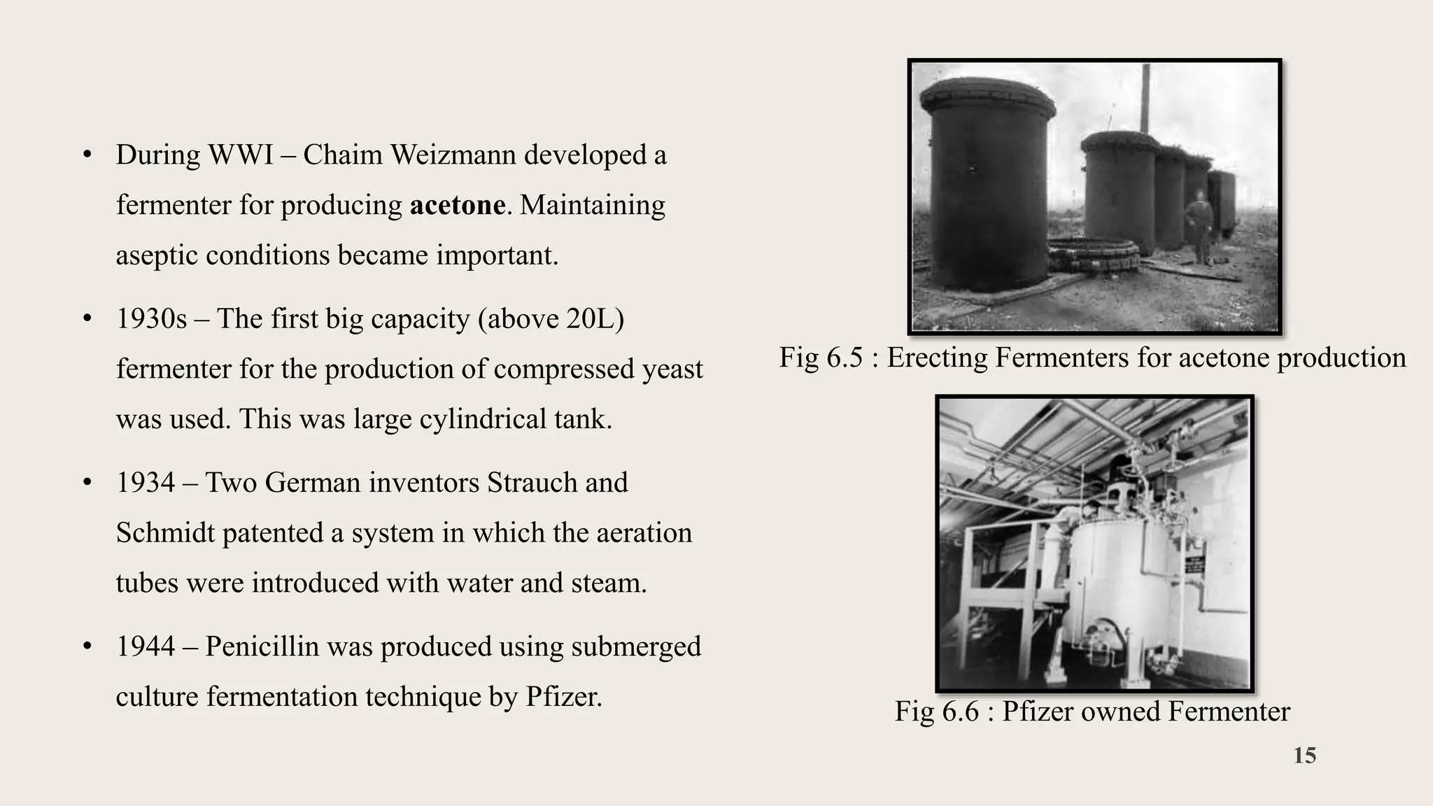 Historical Development of Fermentation | PPTX