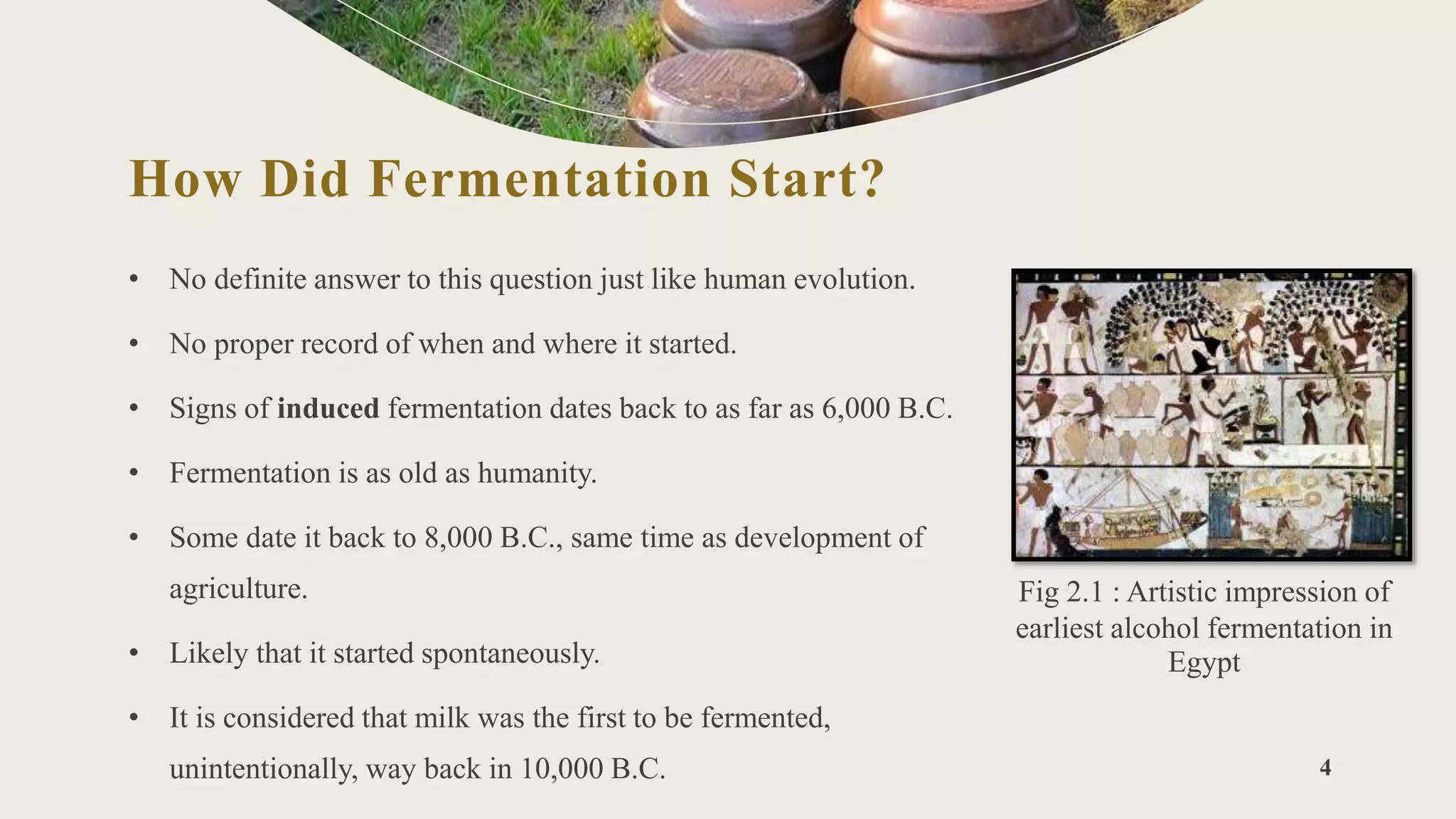 Historical Development of Fermentation | PPTX