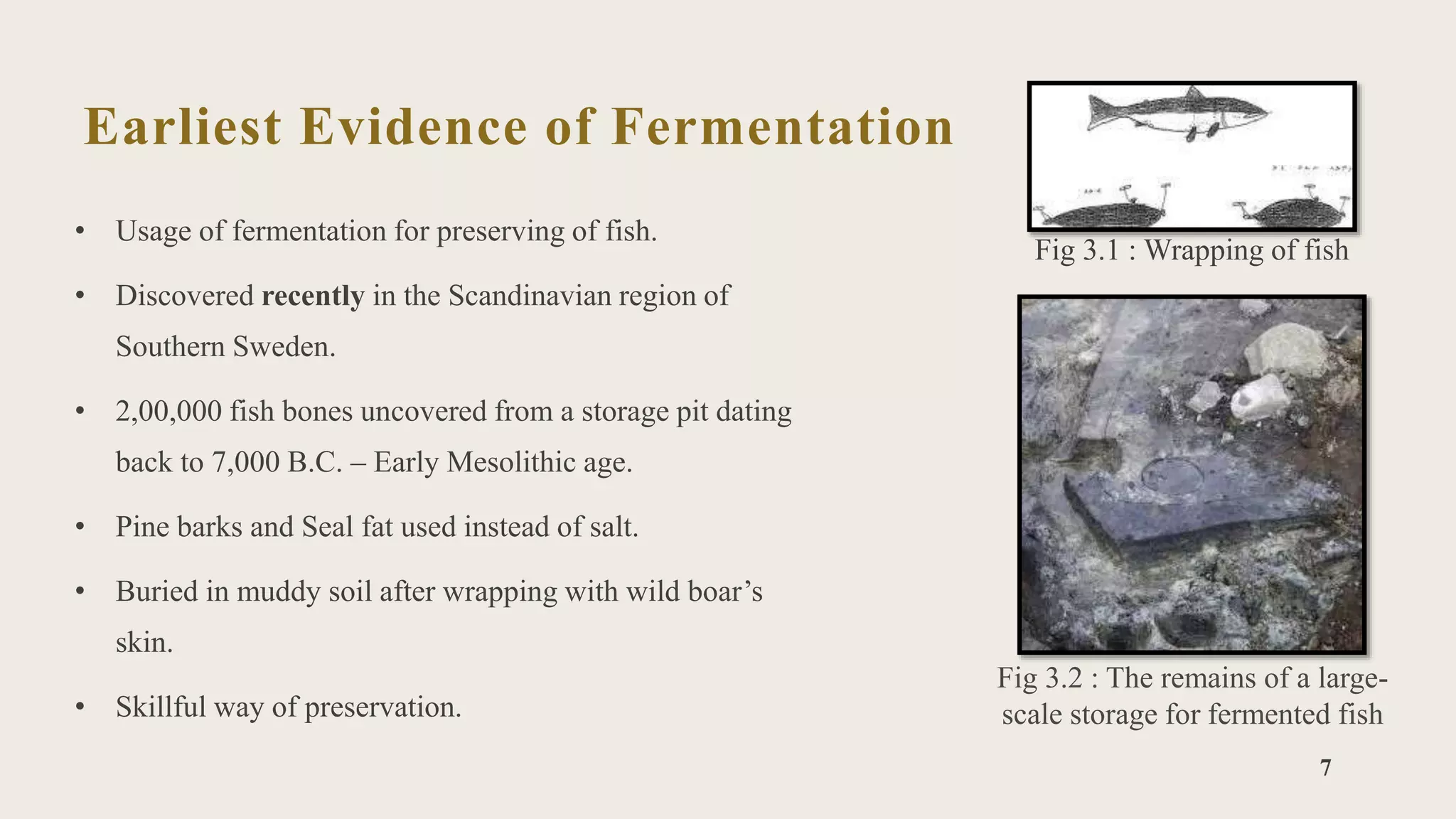 Historical Development of Fermentation | PPTX
