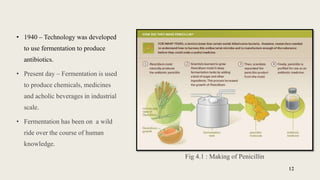 Historical Development of Fermentation | PPTX
