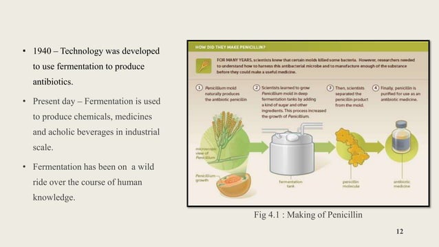Historical Development of Fermentation | PPTX | Chemistry | Science