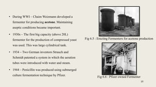 Historical Development of Fermentation | PPTX