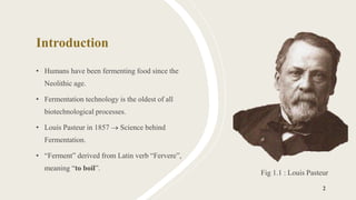 Historical Development of Fermentation | PPTX