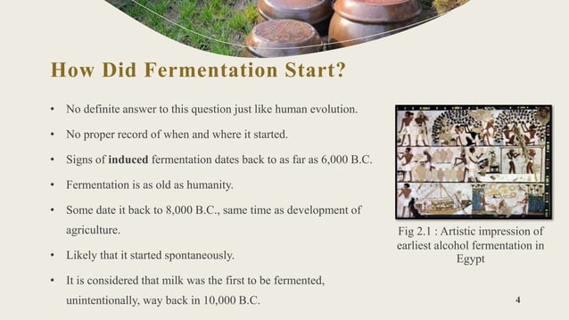Historical Development of Fermentation | PPTX | Chemistry | Science