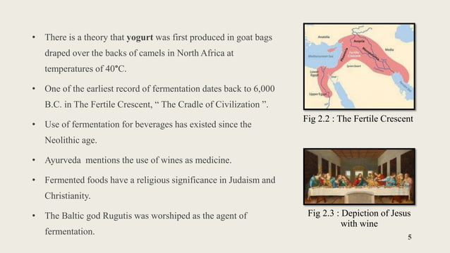Historical Development of Fermentation | PPTX | Chemistry | Science
