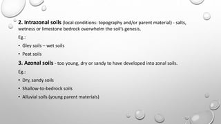 Historical developments and modern system of soil classification.pptx