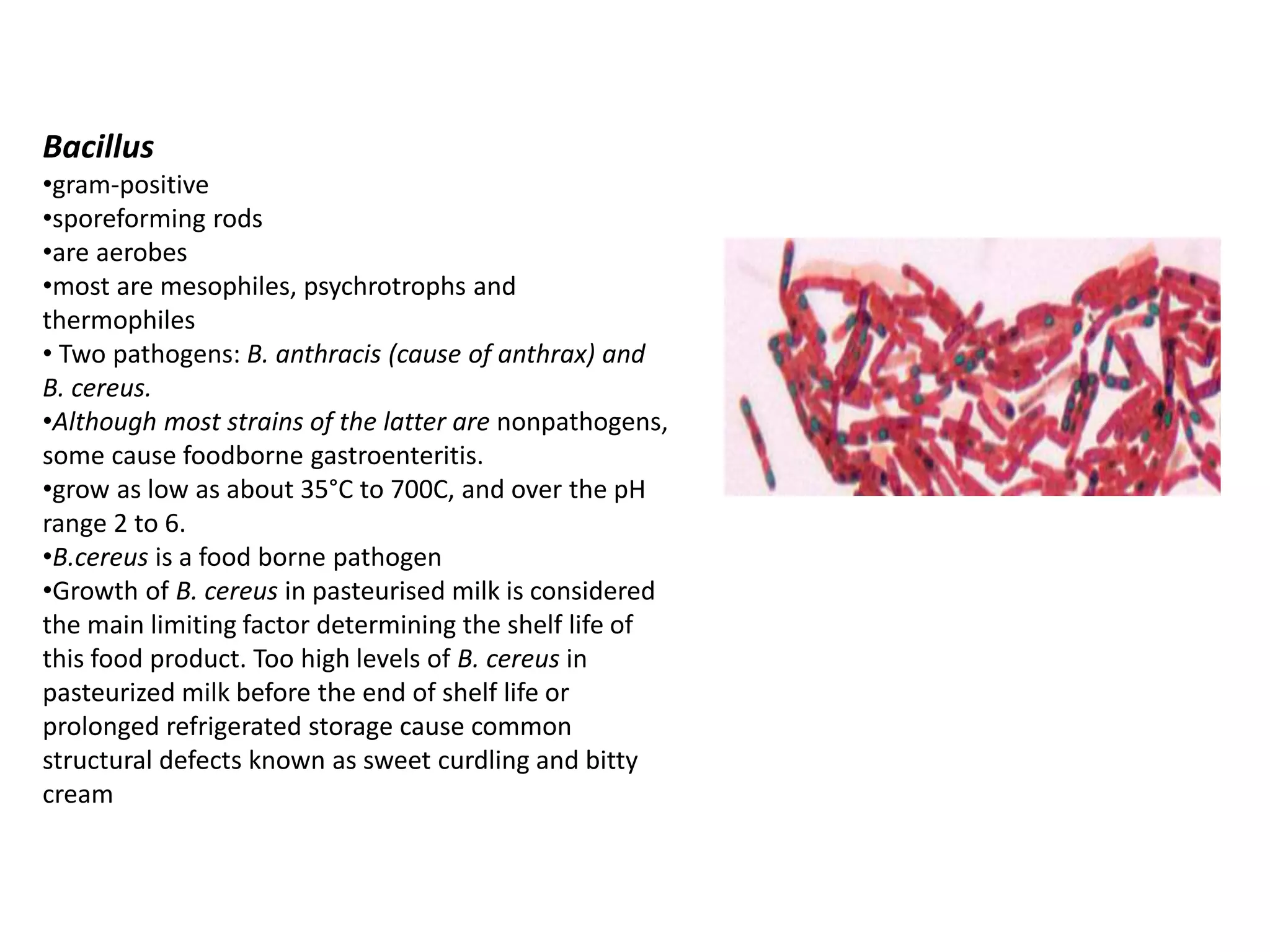 Historical developments, microorganisms important in food bacteria | PPTX